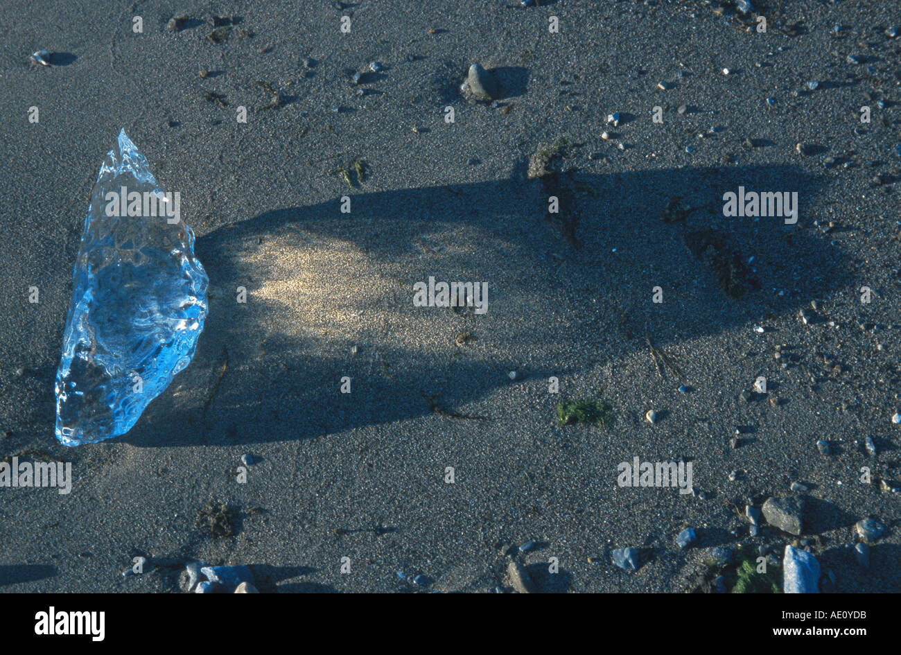 ice crystal on the beach Stock Photo - Alamy