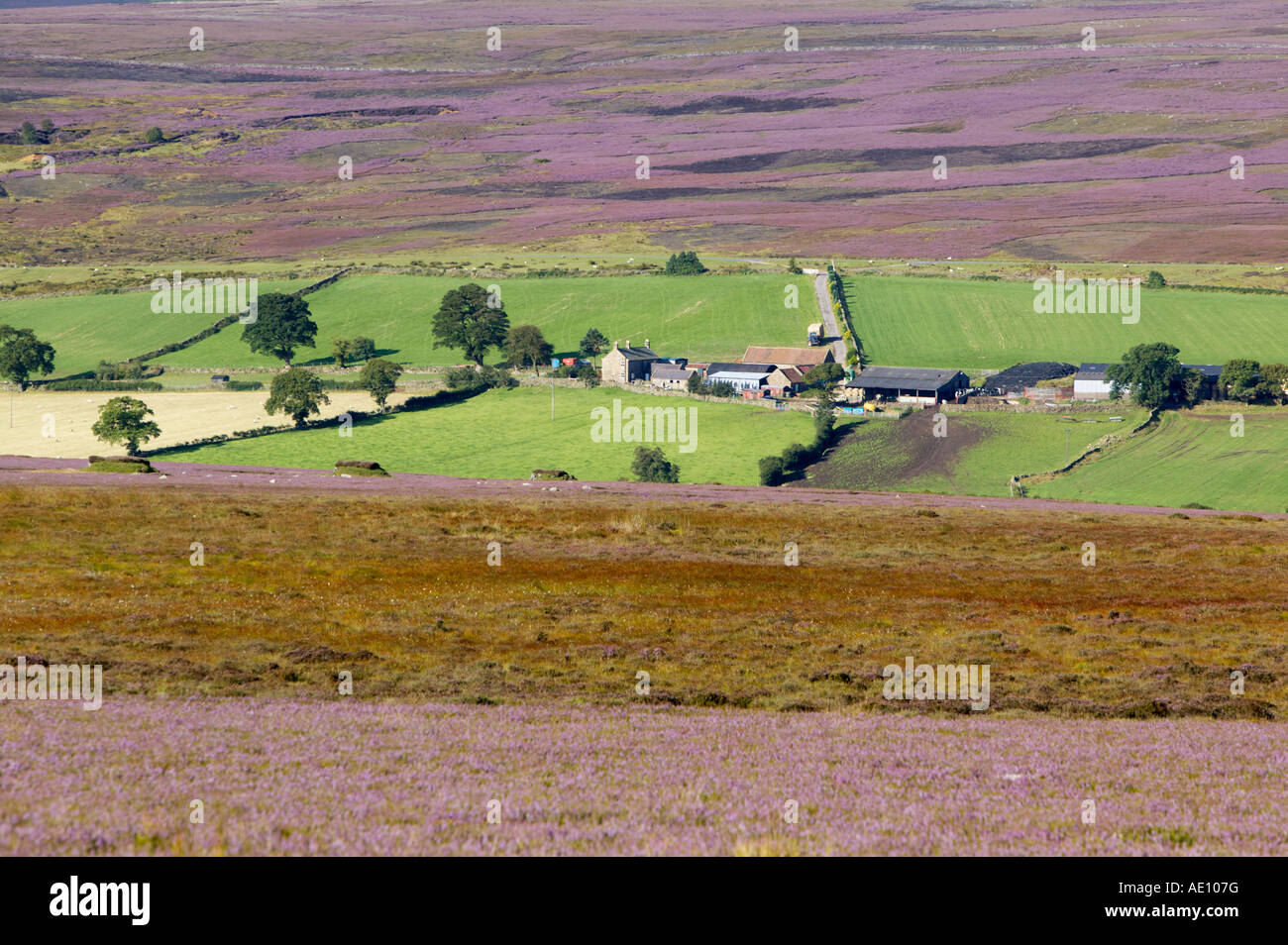 Thornhill Farm below Commondale Moor near Stock Photo - Alamy