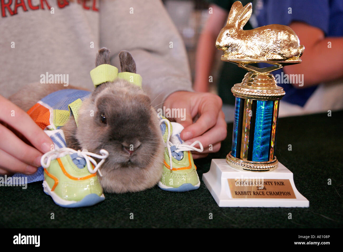 Valparaiso Indiana,Porter County Fair,4 H Club,rabbit costume contest ...