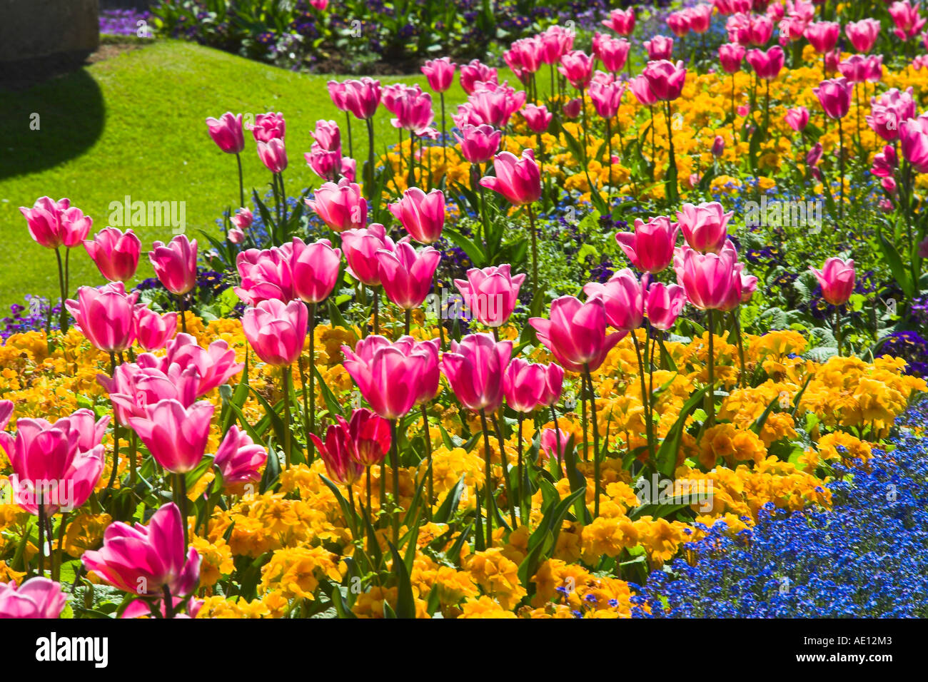 Display of Flowers during May in Victoria Park, Bath, Somerset, United ...