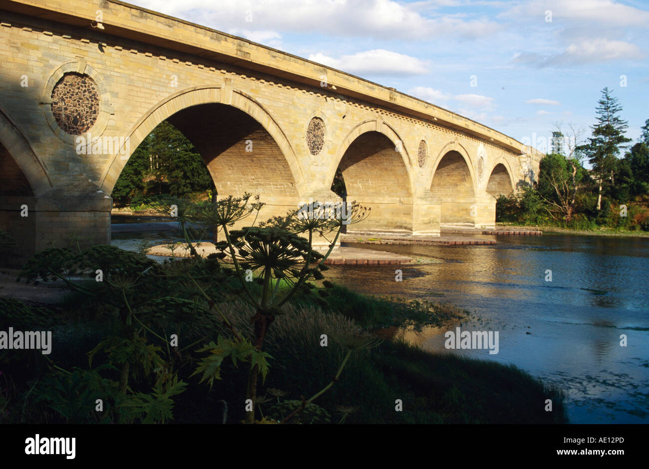 Coldstream bridge hi-res stock photography and images - Alamy