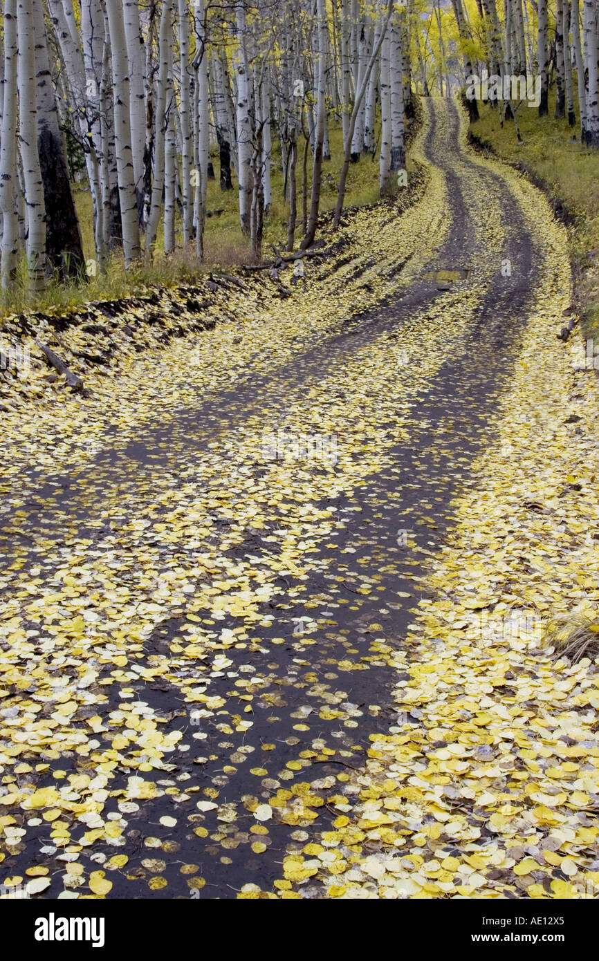 Field way in colorado Stock Photo - Alamy