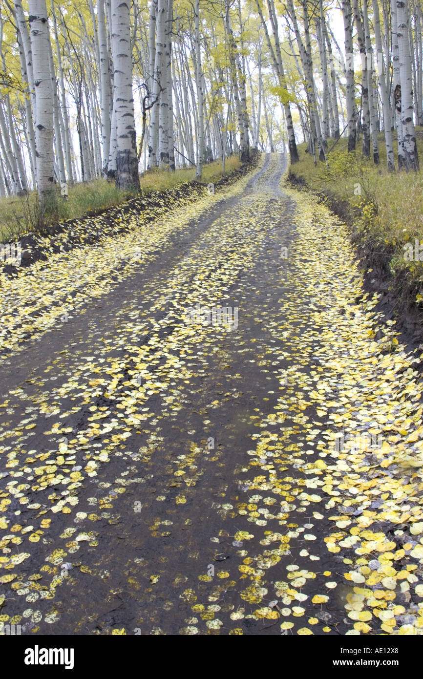 Field way in colorado Stock Photo - Alamy