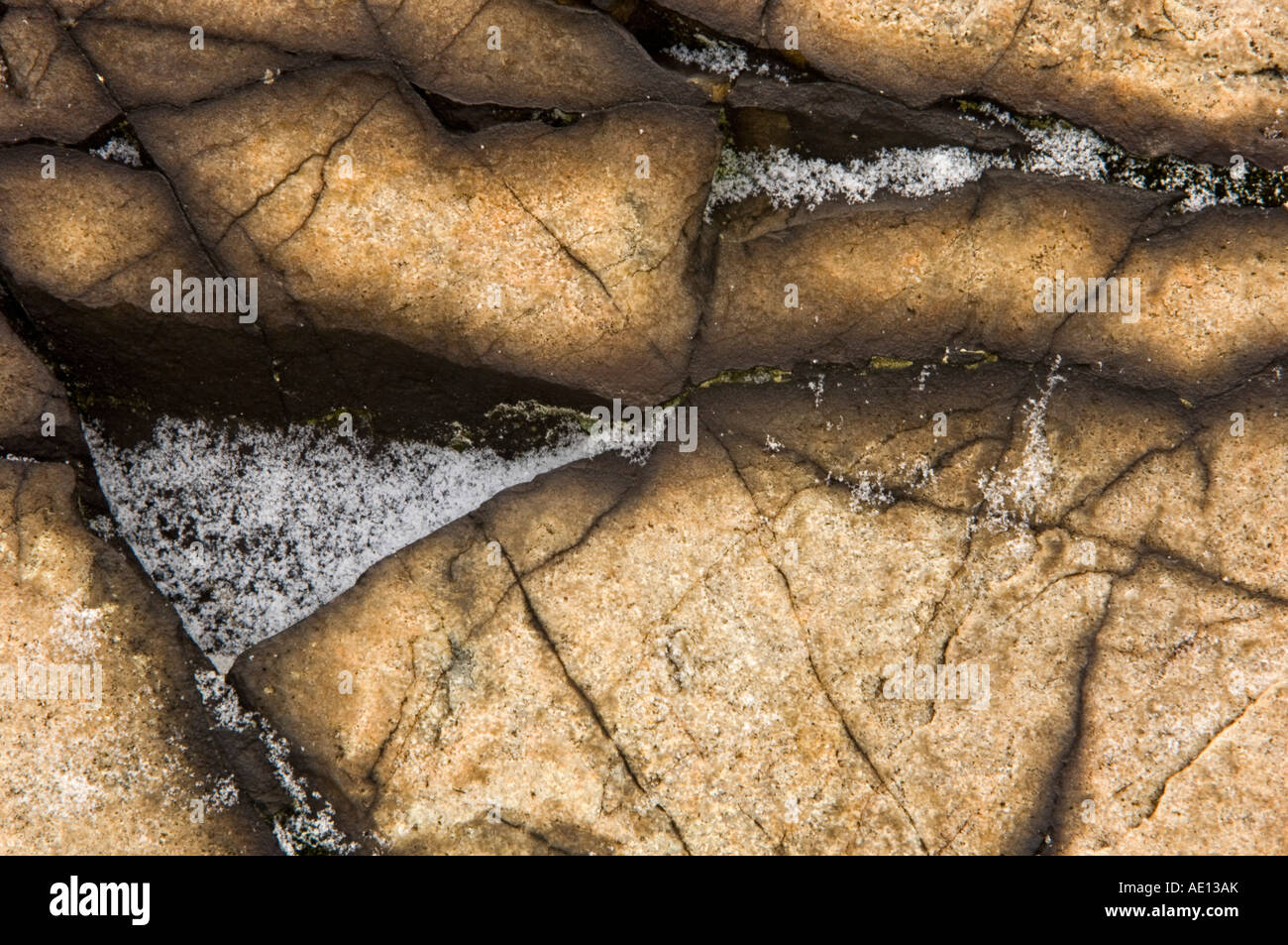 Canadian shield granite outcrops hi-res stock photography and images ...