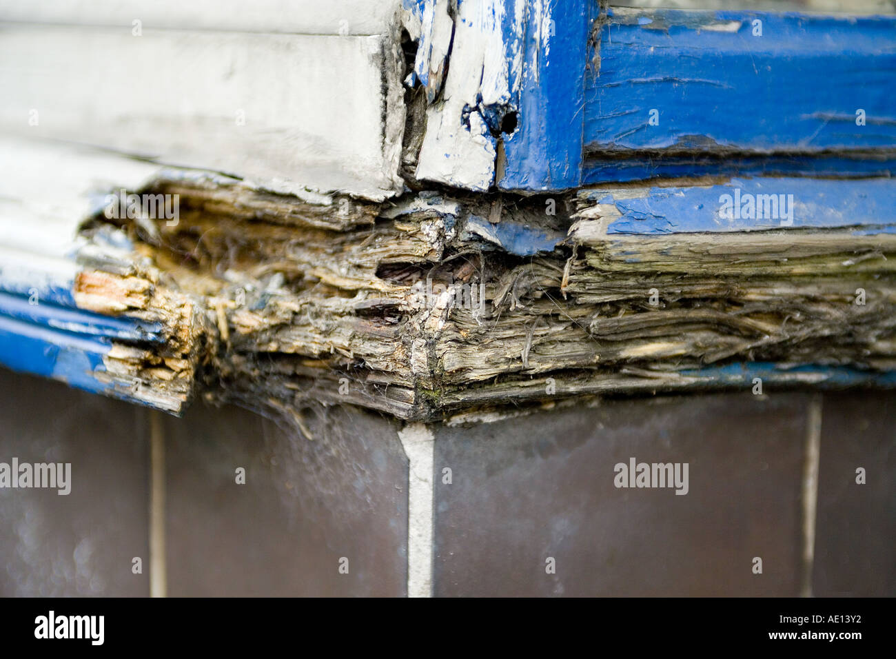 Rotting window sill hi-res stock photography and images - Alamy
