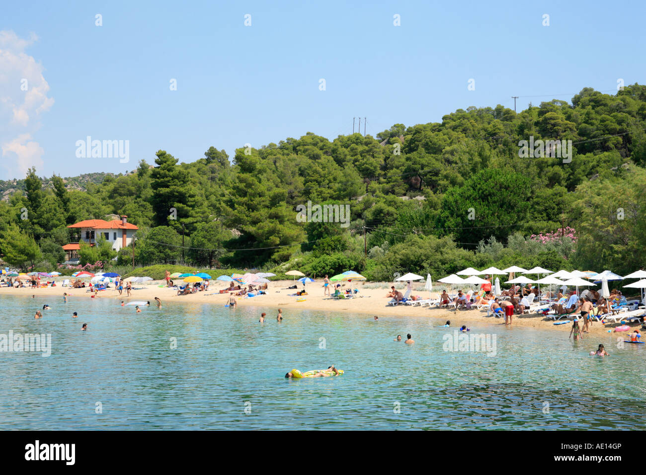 Kalogria Beach on Sithonia Peninsula on the peninsula of Chalcidice in ...