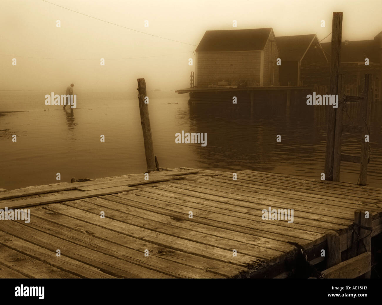 A fisherman crossing a submerged causeway in the fog to reach his cabin ...