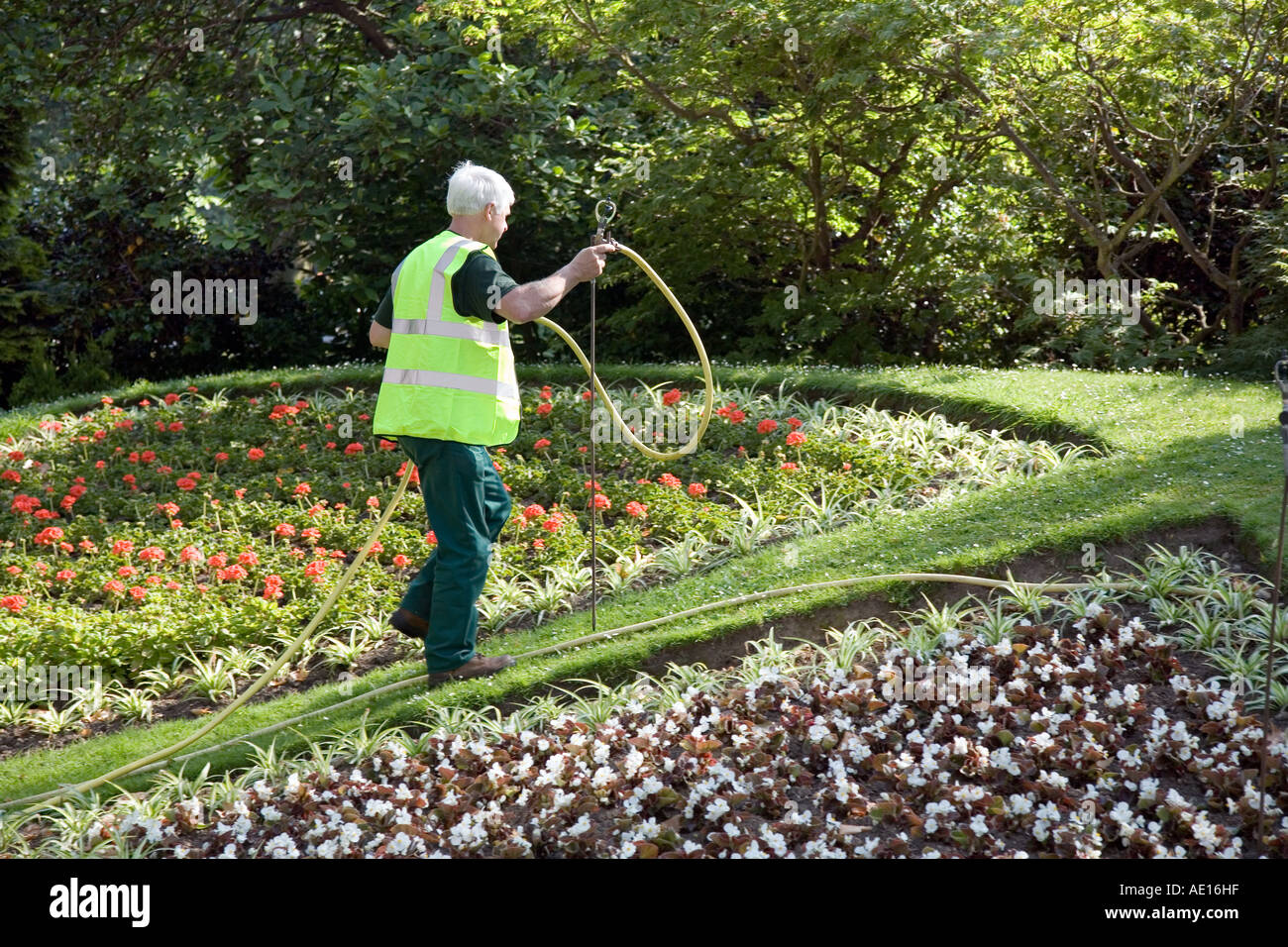 City park worker with water hose hi-res stock photography and images ...