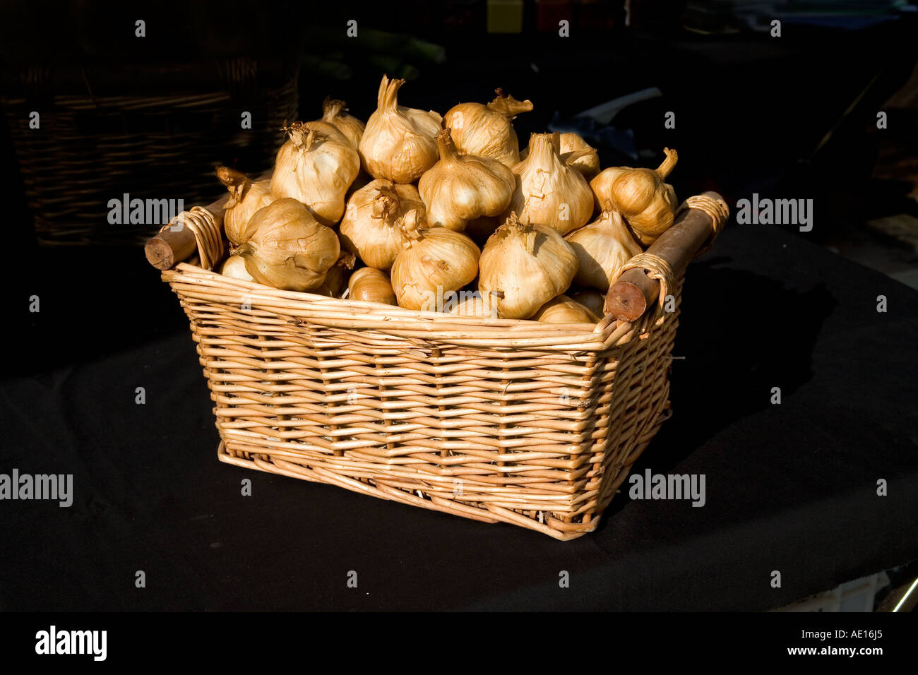 Garlic bulbs (Allium sativum). The cloves in these bulbs can be used to ...