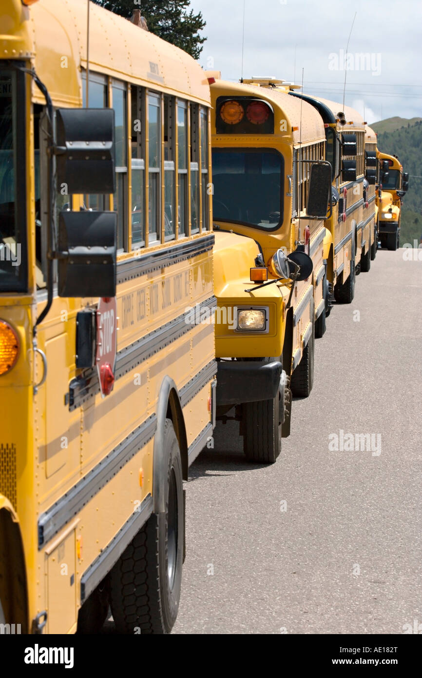 Row of school buses Stock Photo - Alamy