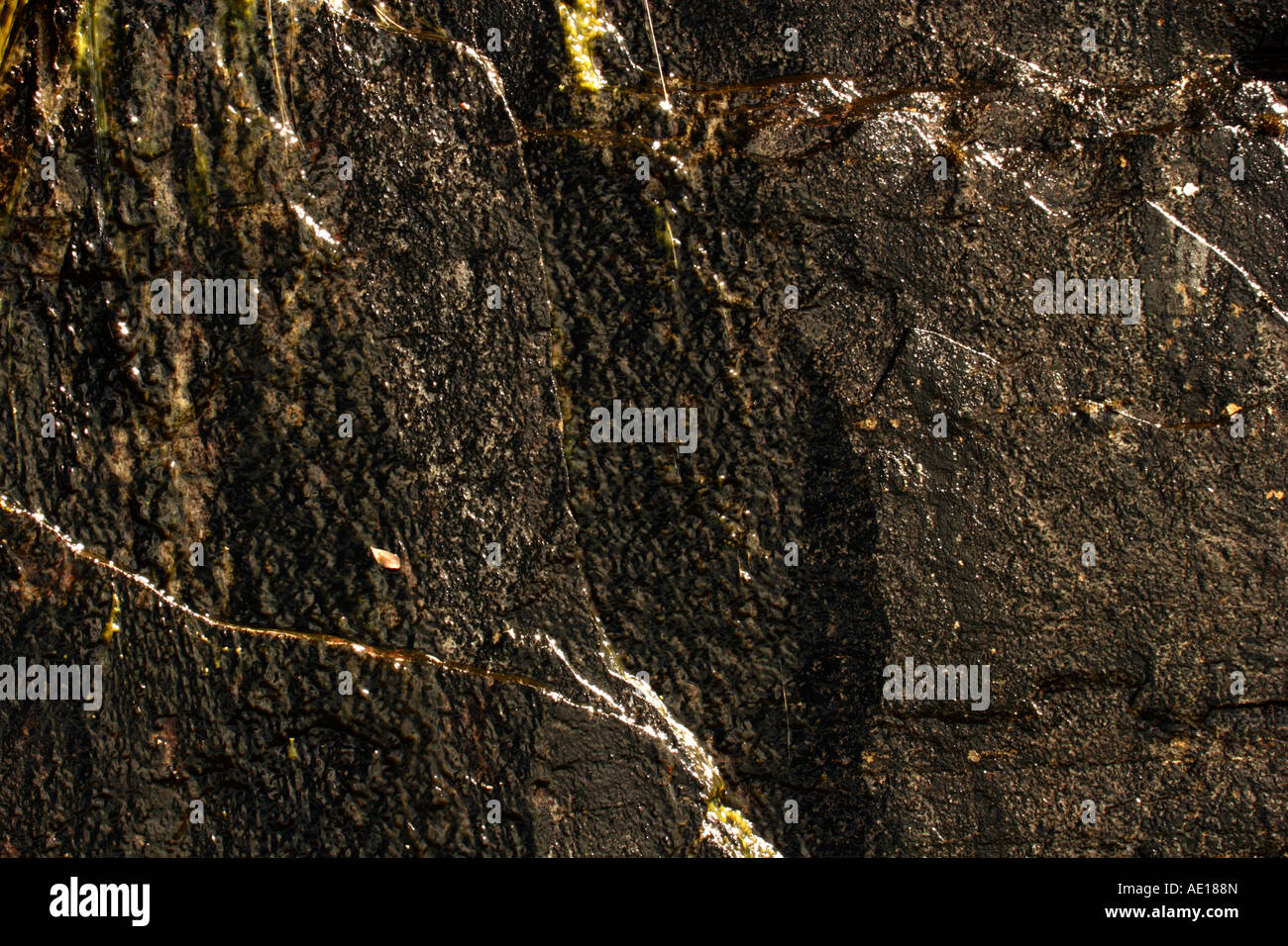 Wet rock texture Stock Photo - Alamy