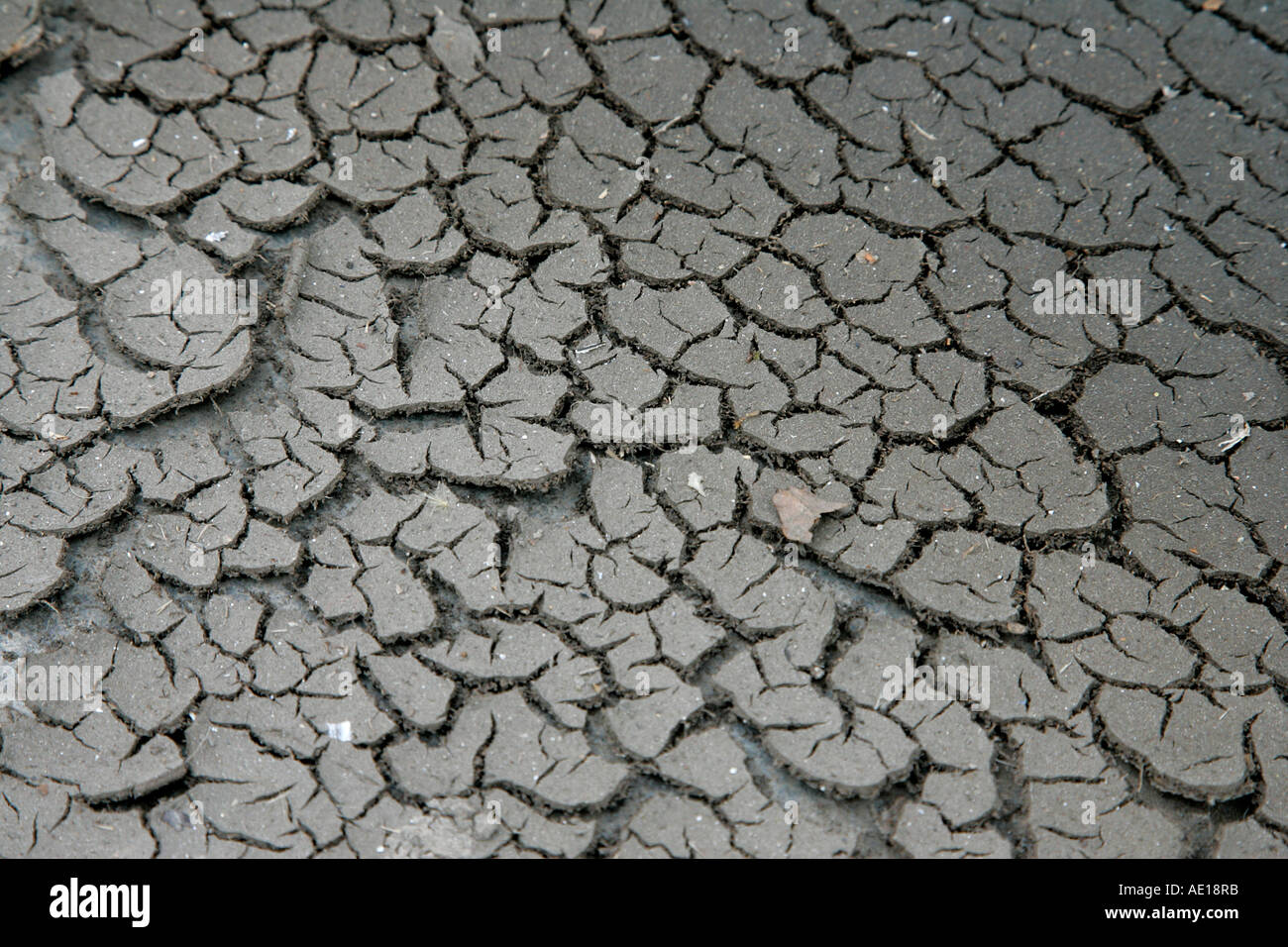 dry dried up surface earth abstract cracking pattern appear soil dries ...