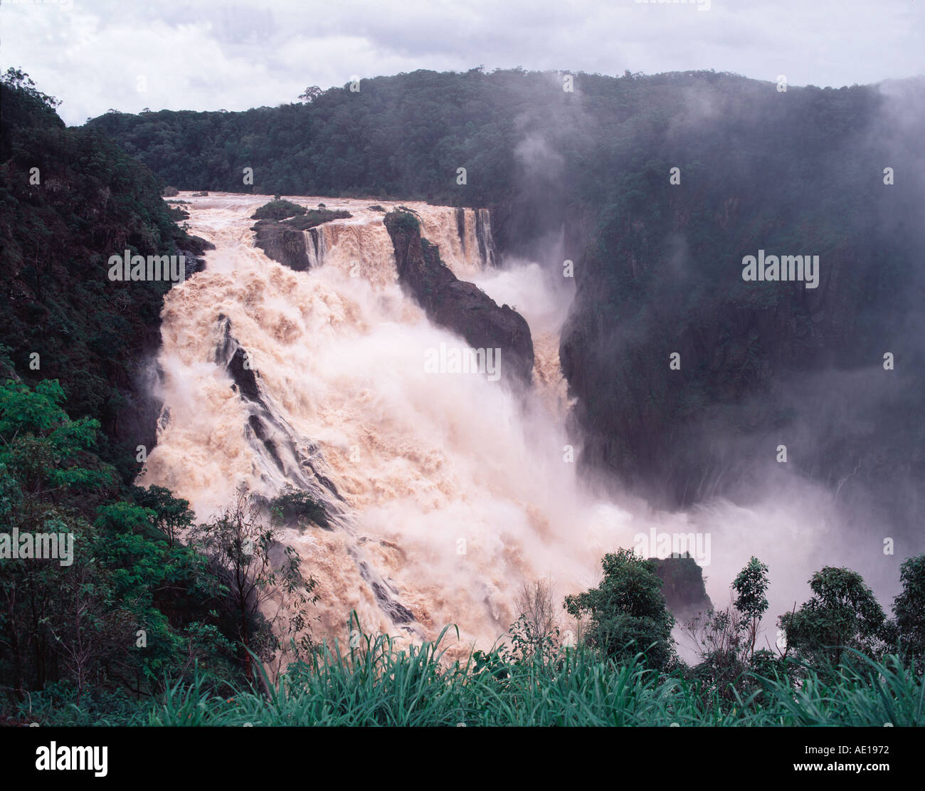 Tropical Rainforest Barron Falls in flood on Barron River Kuranda Stock ...