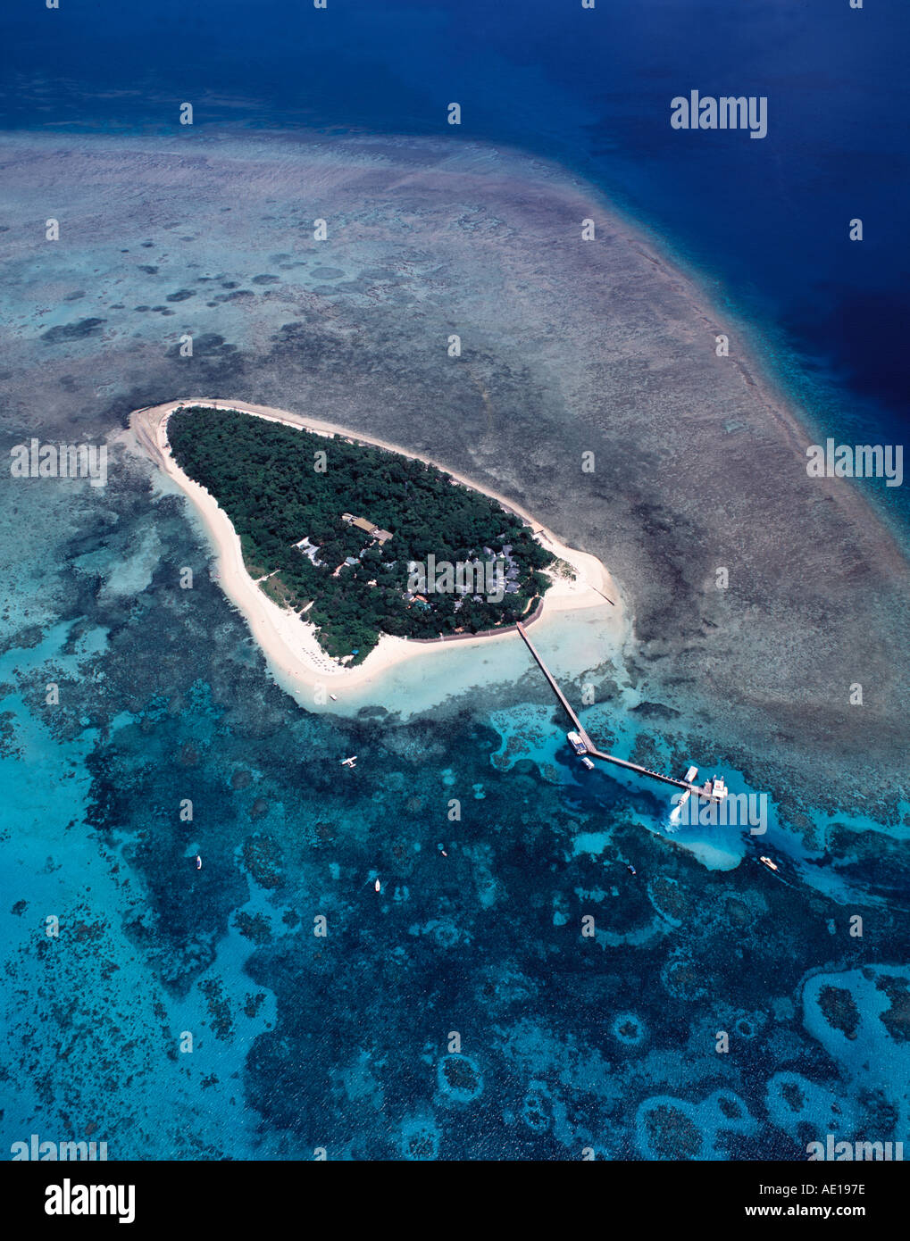 Aerial of a vegetated coral sand cay the resort Island Green Island on ...