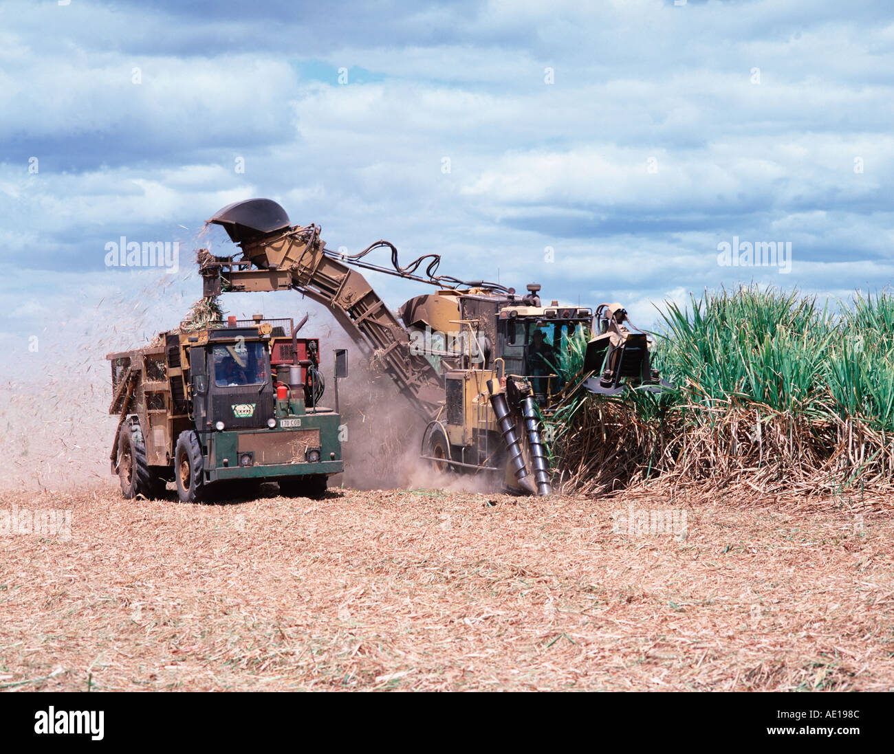Mechanical harvesting of sugarcane hi-res stock photography and images ...
