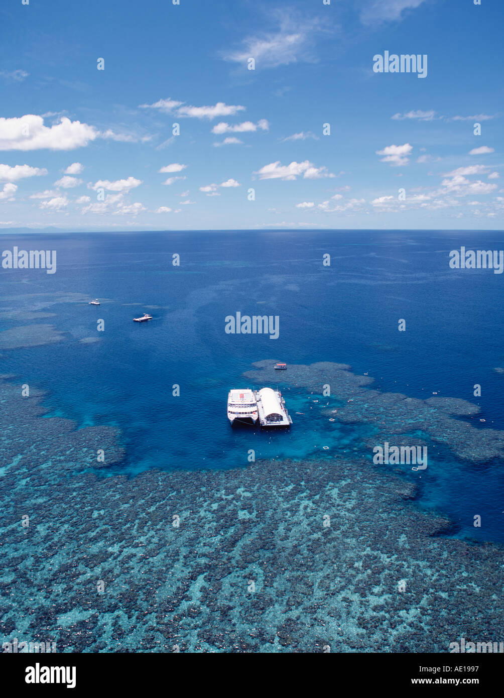 Day Tour from Cairns Moore Reef on the Great Barrier Reef Queensland ...