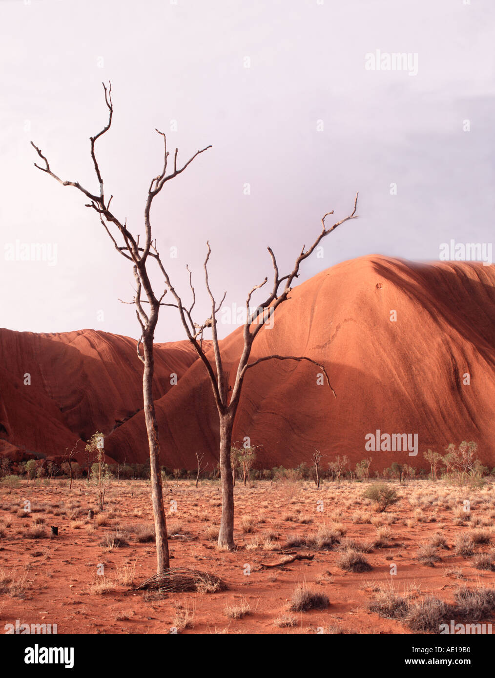 Detail of sections of Uluru Ayers Rock Uluru Kata Tjuta National Park ...