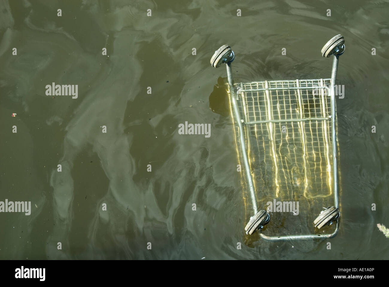Shopping cart floating upside down in Richmond lake UK Stock Photo - Alamy
