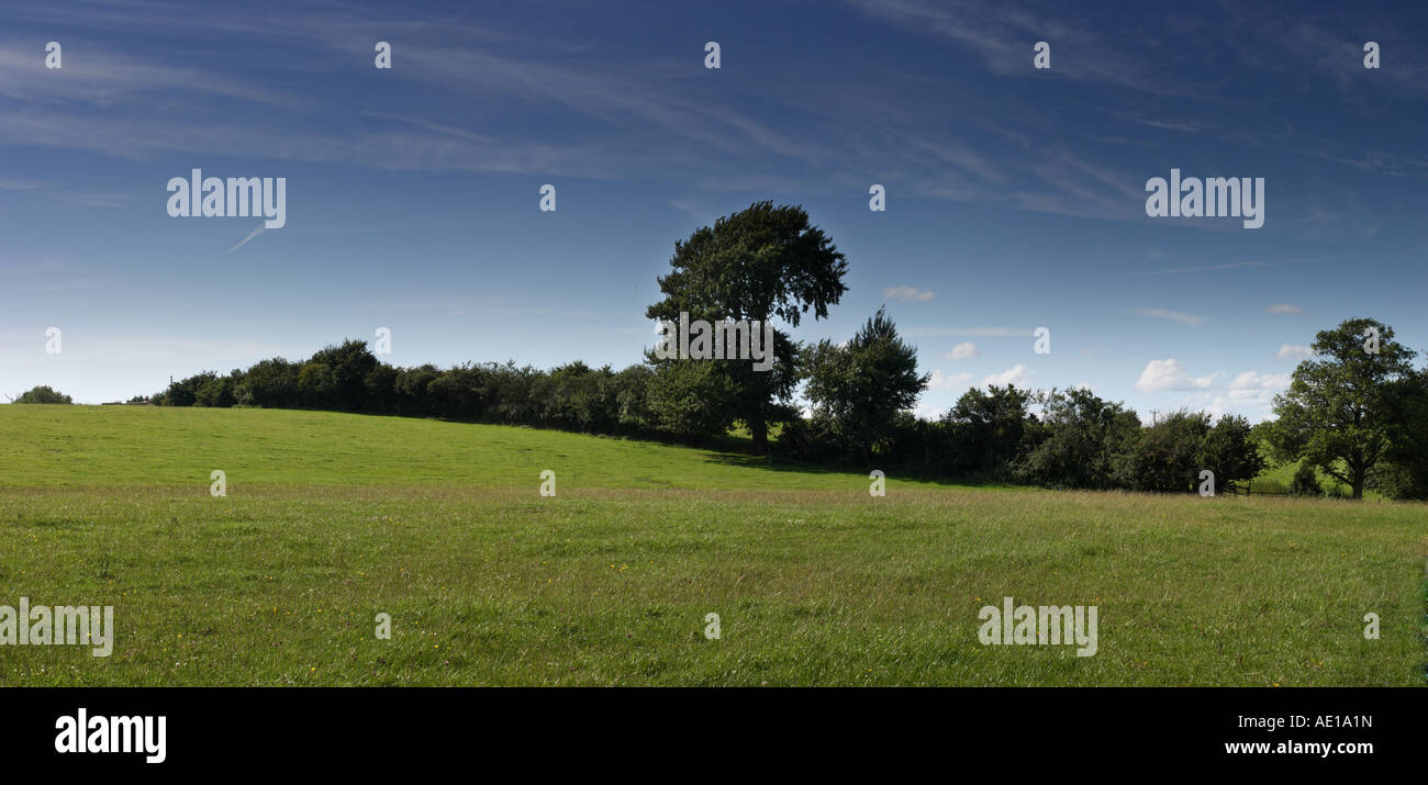 English countryside scene in the summer Stock Photo - Alamy