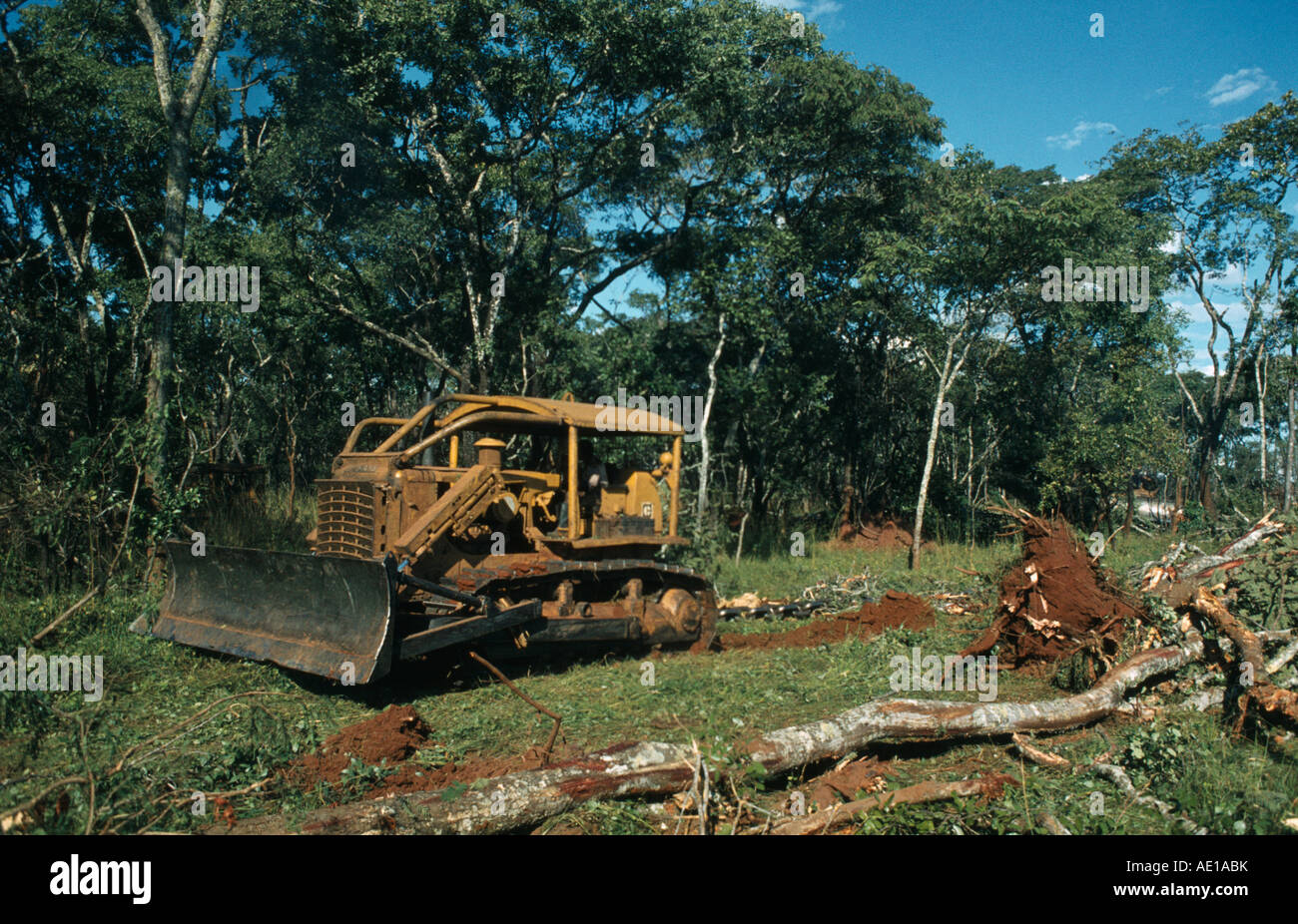 Zambia East Africa Deforestation Bulldozer Clearing forest for wheat ...