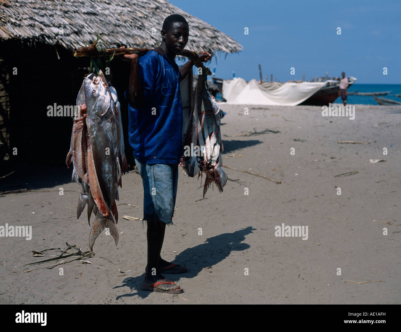 Pangani hi-res stock photography and images - Alamy