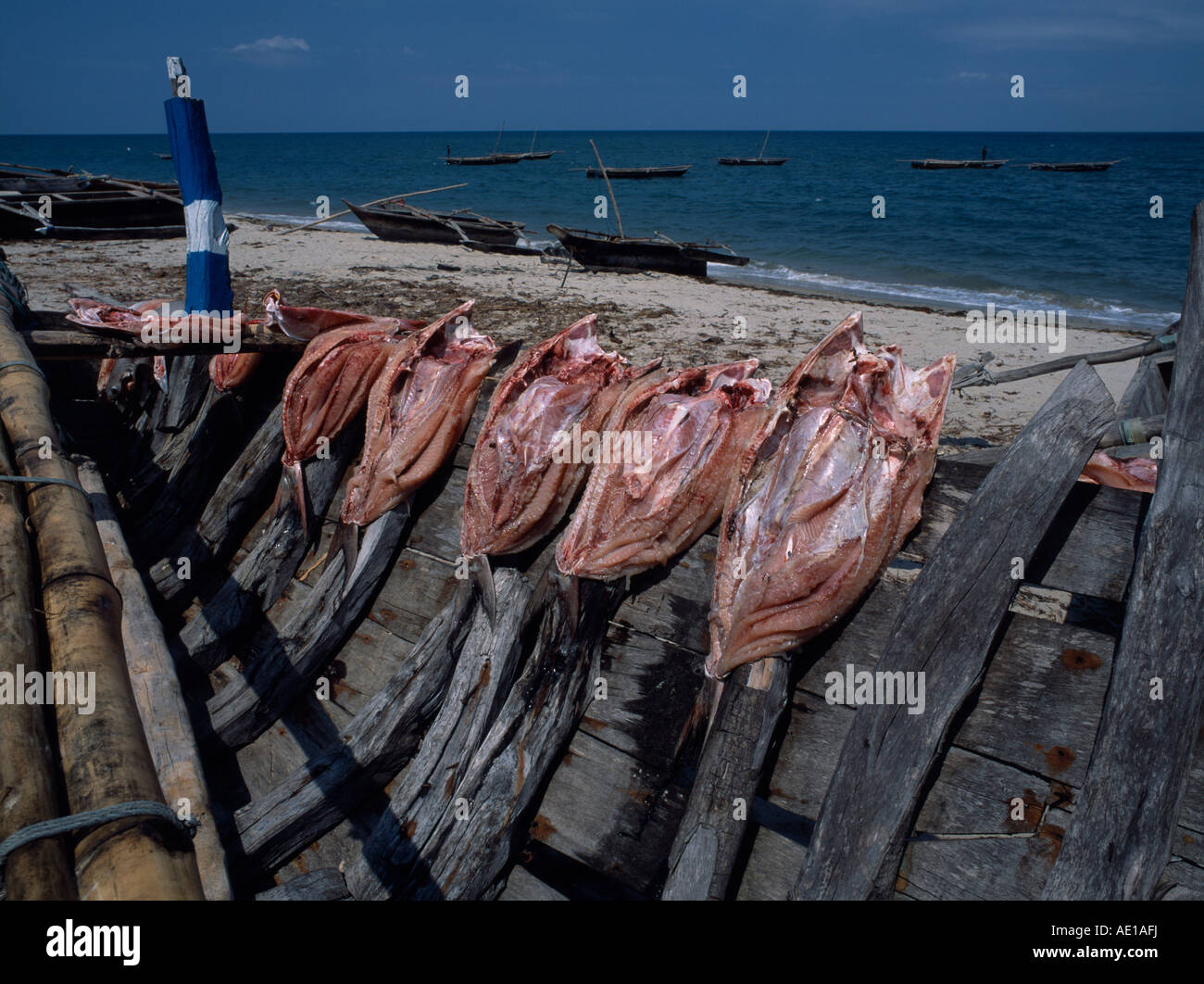 Pangani hi-res stock photography and images - Alamy