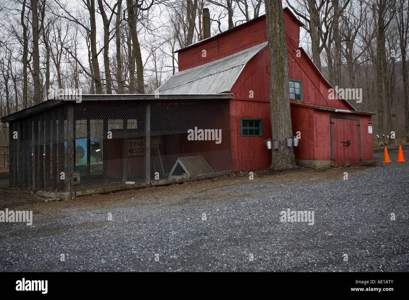 Maple syrup production in the Rougemont Hills south of Montreal in ...