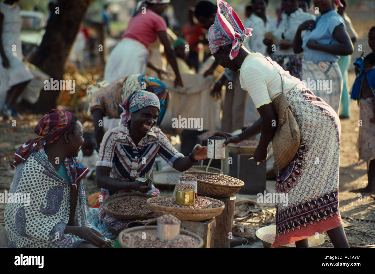 Maxixe hi-res stock photography and images - Alamy