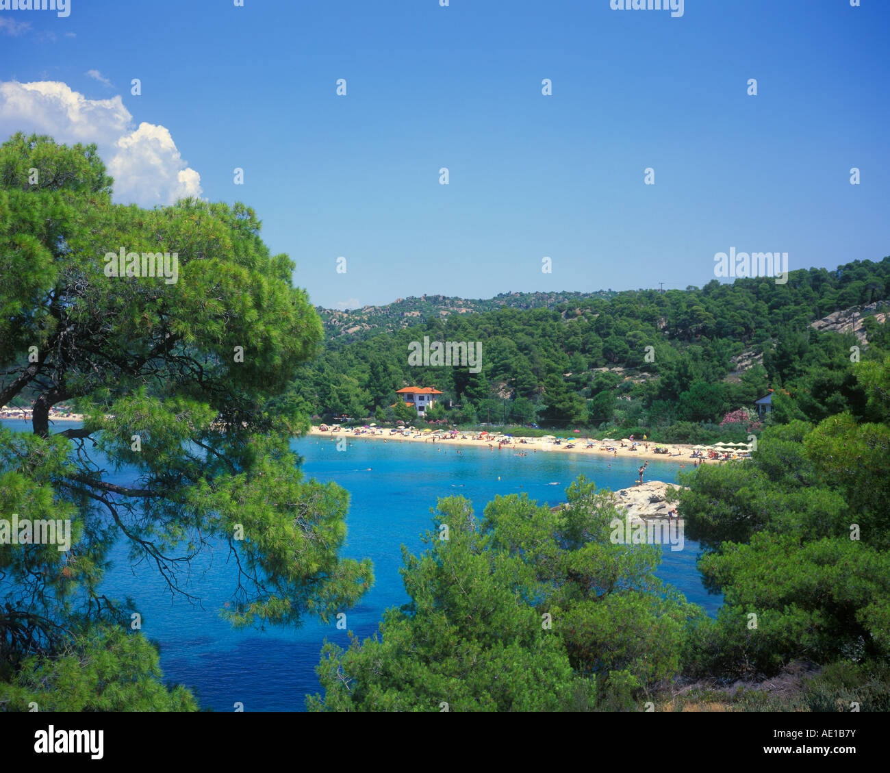 Kalogria Beach on Sithonia Peninsula on the peninsula of Chalcidice in ...