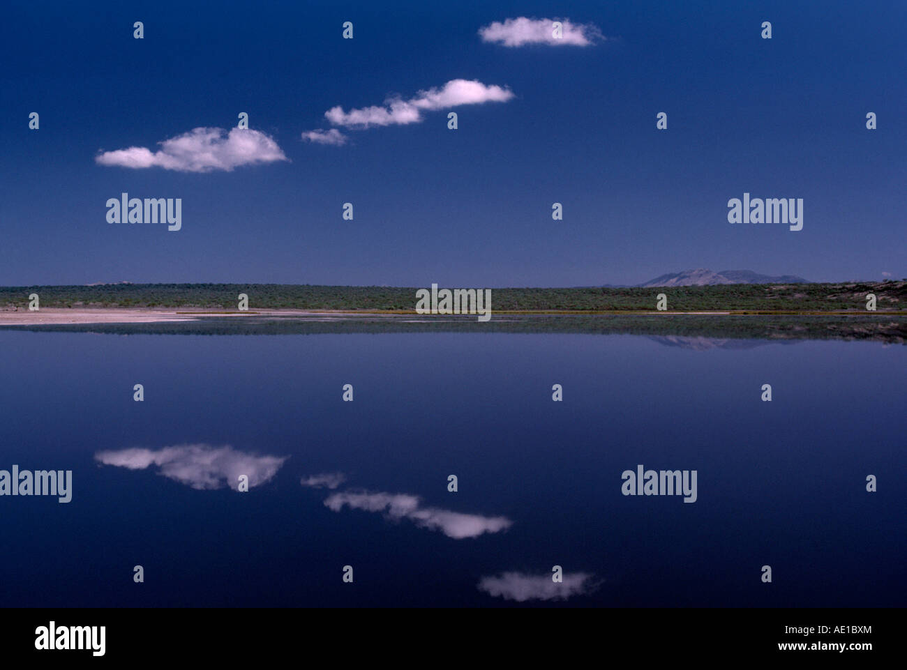 KENYA East Africa Rift Valley Lake Magadi Still clouds reflected water ...