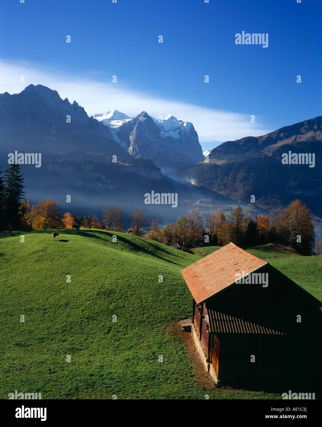 SWITZERLAND Bernese Oberland Bern Hasliberg farmland north of Meringen ...