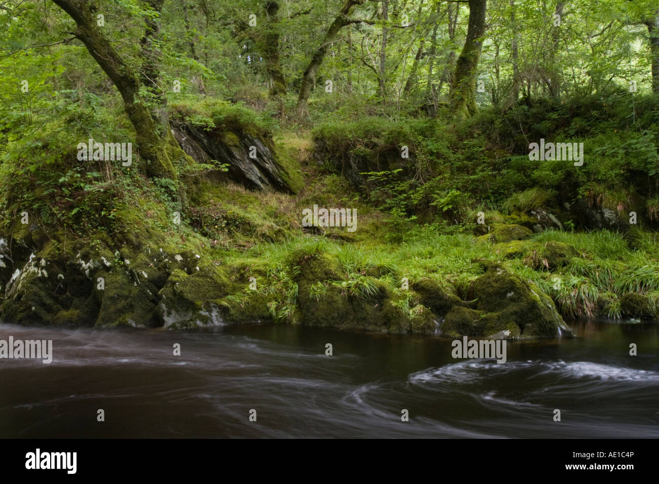 Wooded scene with a fast flowing river running through an ancient ...