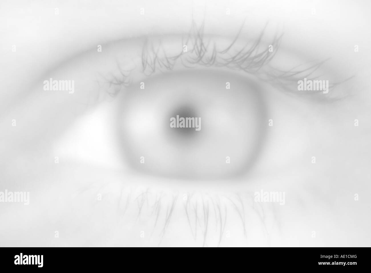 196 s Black and White Stock Photos & Images - Alamy