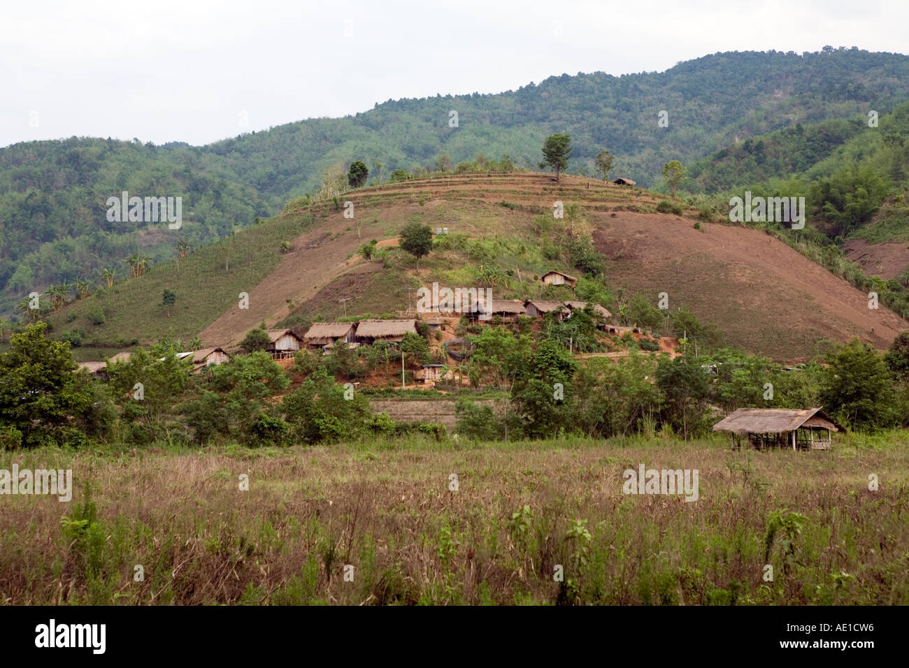 Akha village north thailand hi-res stock photography and images - Alamy