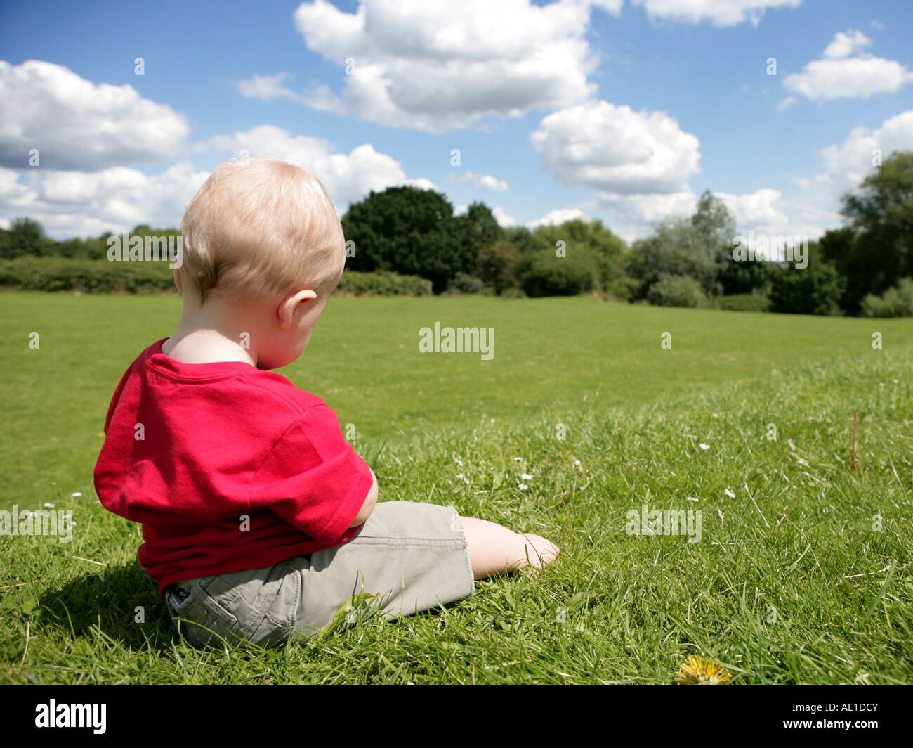 toddler sitting in summer sun Stock Photo - Alamy