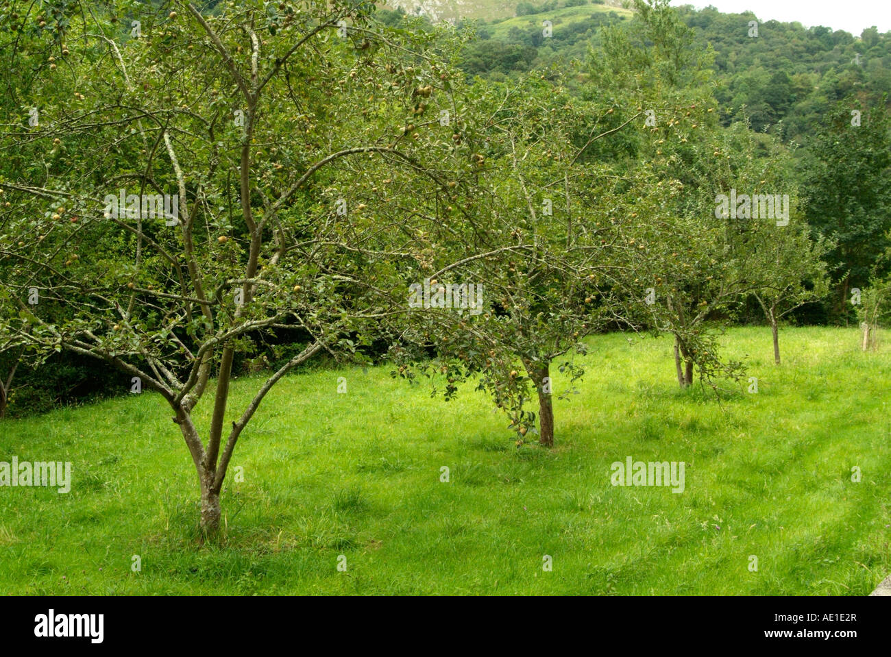 3 picos hi-res stock photography and images - Alamy