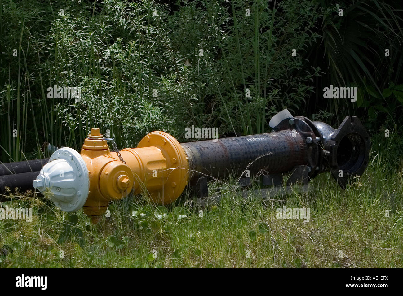 A Fire Hydrant on a Stand Pipe and Laying on its Side in a Field Stock ...