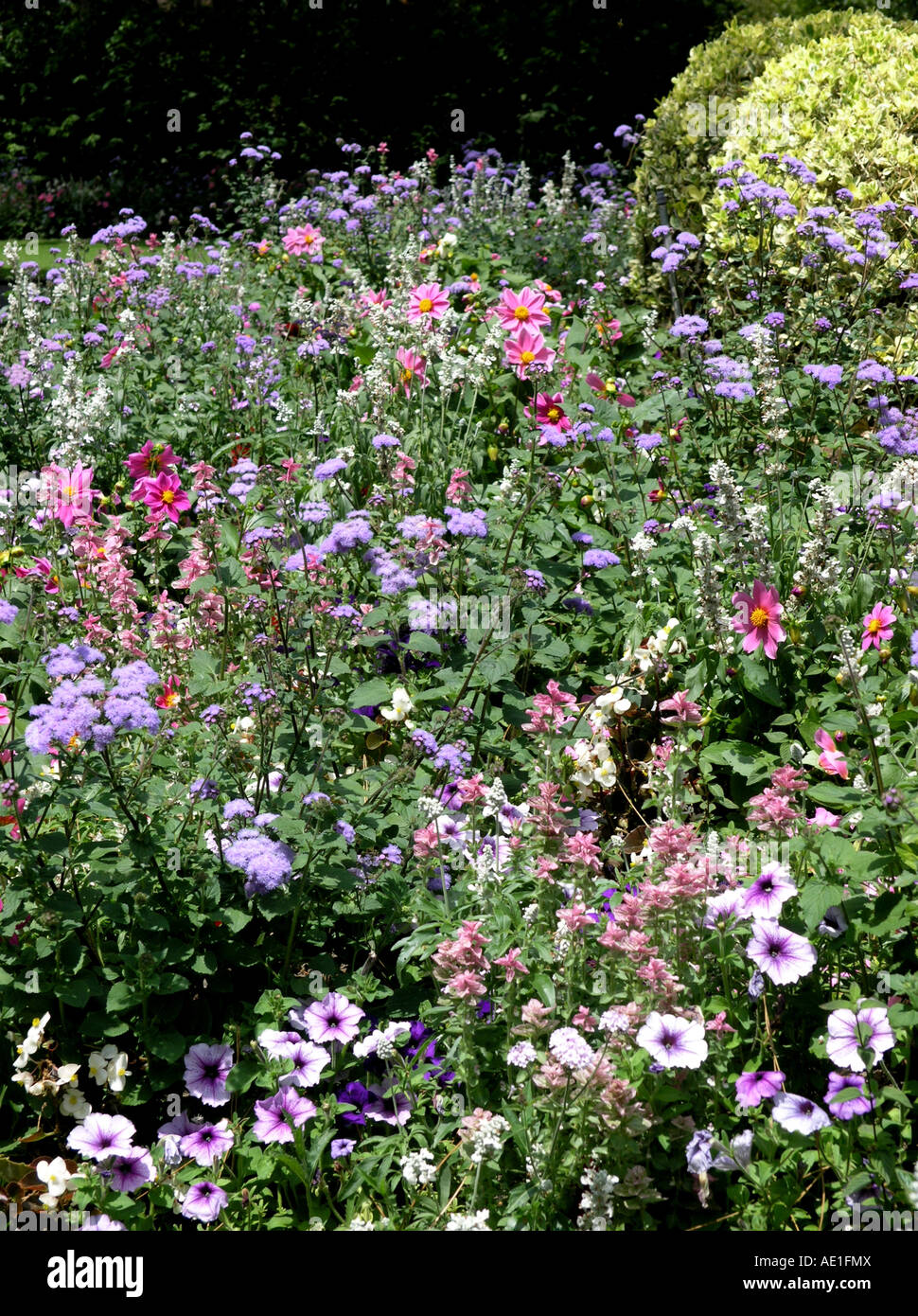 Decorative flower border at Jardin des plantes de Nantes botanical ...
