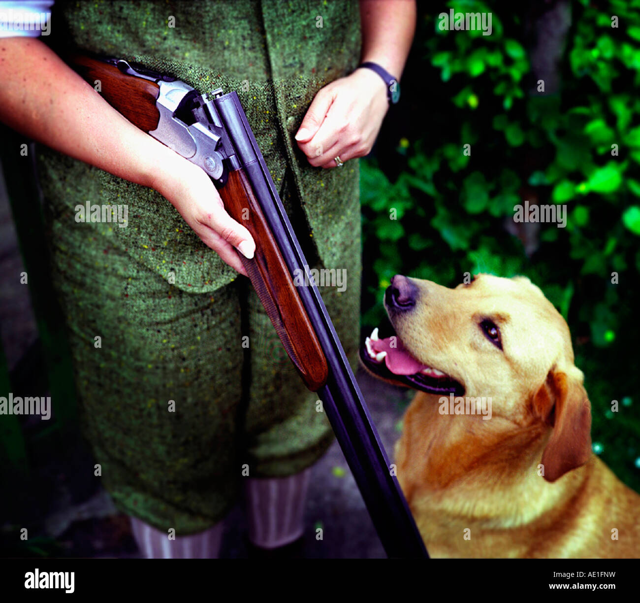 Dog with gun hi-res stock photography and images - Alamy