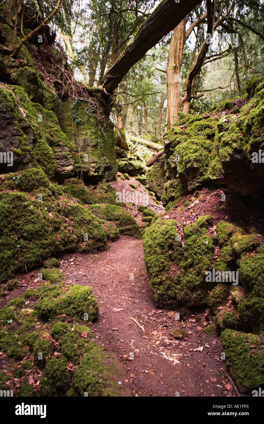 Coleford Forest Of Dean Stock Photos & Coleford Forest Of Dean Stock ...