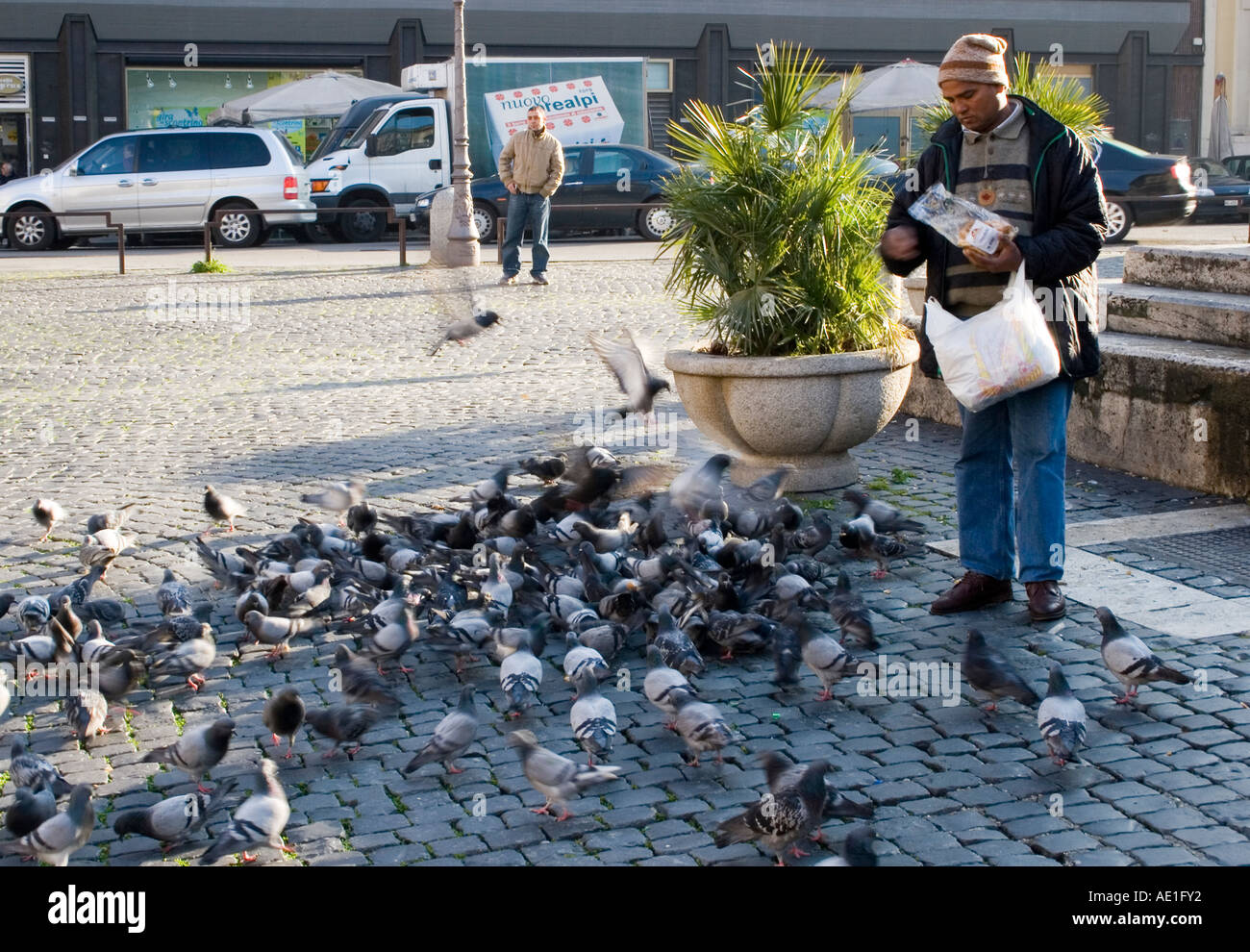 Rome pigeons hi-res stock photography and images - Alamy