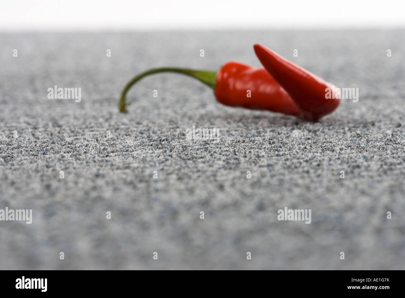 Red chilli pepper on patterned carpet tile floor Stock Photo - Alamy
