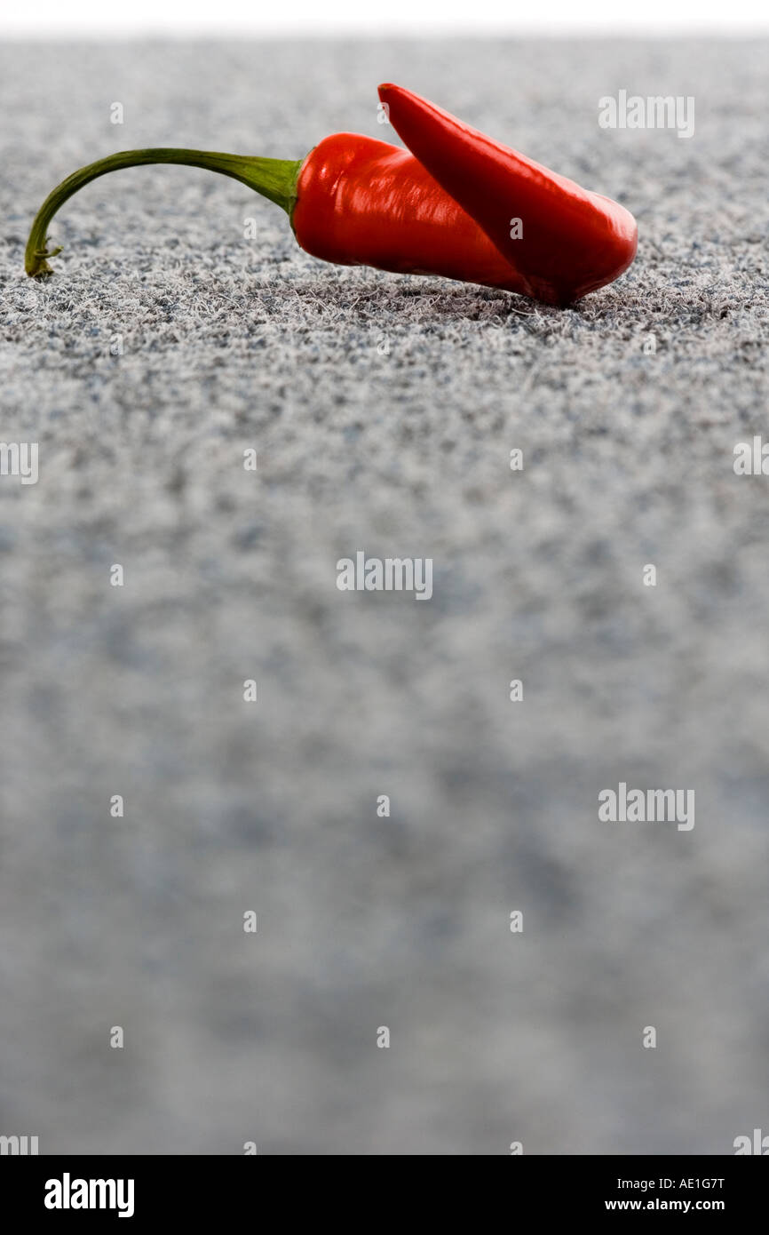 Red chilli pepper on patterned carpet tile floor Stock Photo - Alamy