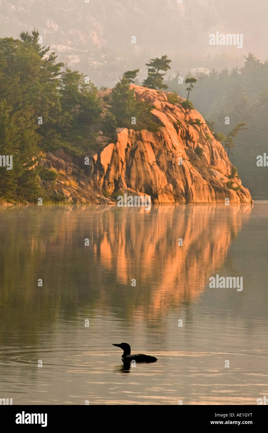 Killarney dawn Cliffs reflected in George Lake with Loon, Killarney ...