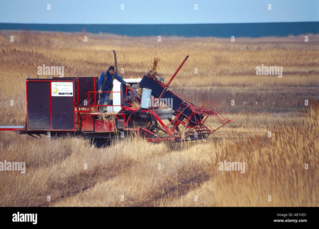 Reed mower hi-res stock photography and images - Alamy