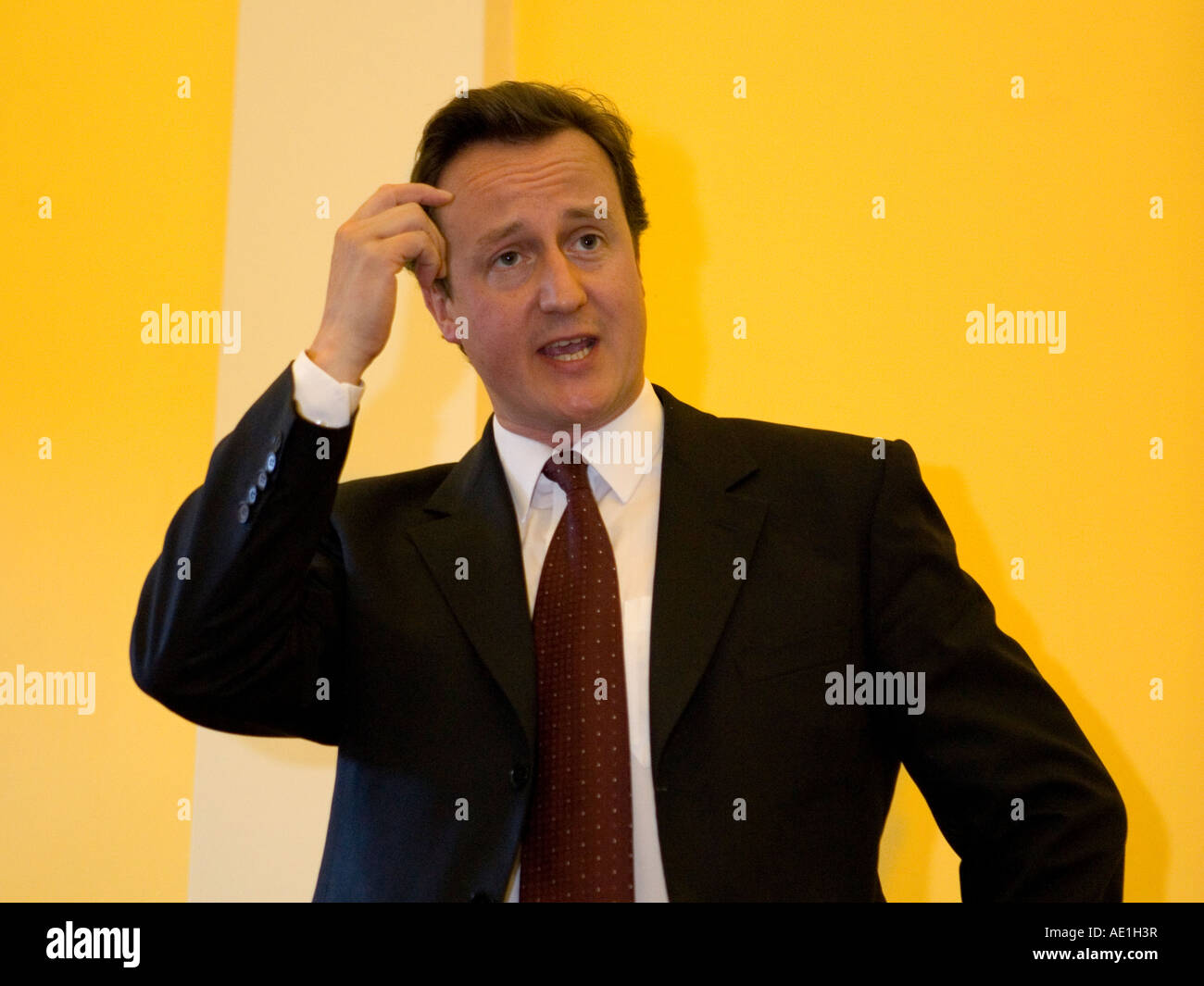 The Right Honorable (Rt Hon) David Cameron MP leader of the ...