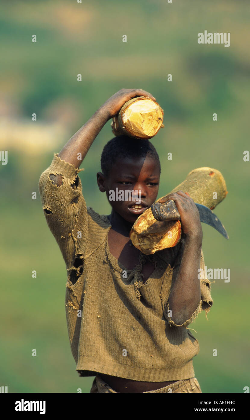 congolesian young boy carrying wood, Democratic Republic of the Congo ...