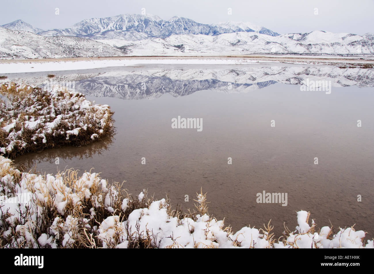 Picturesque wasatch mountains utah hi-res stock photography and images ...