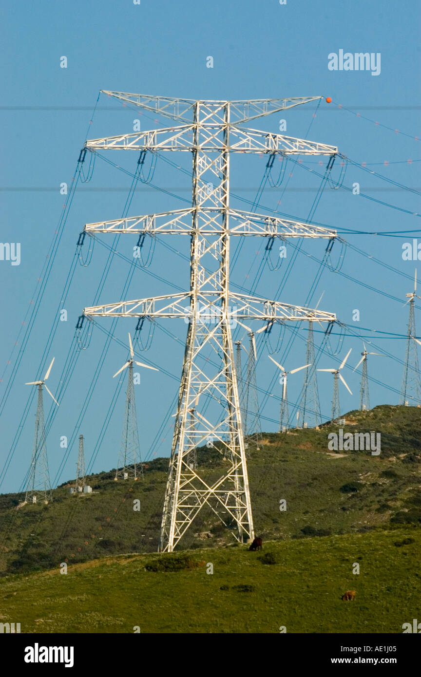 Image of a pylon Stock Photo - Alamy