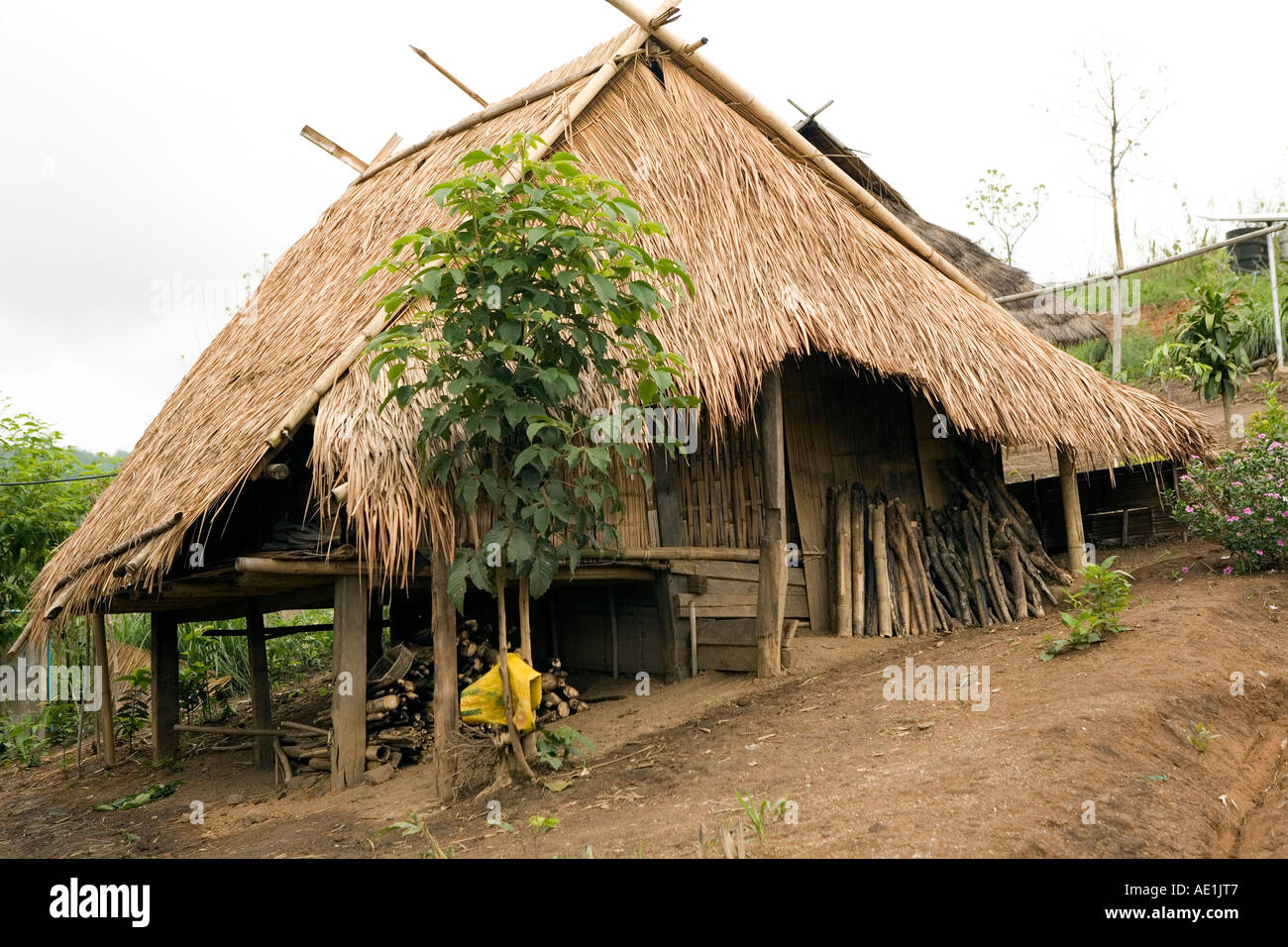 Akha hilltribe people hi-res stock photography and images - Alamy